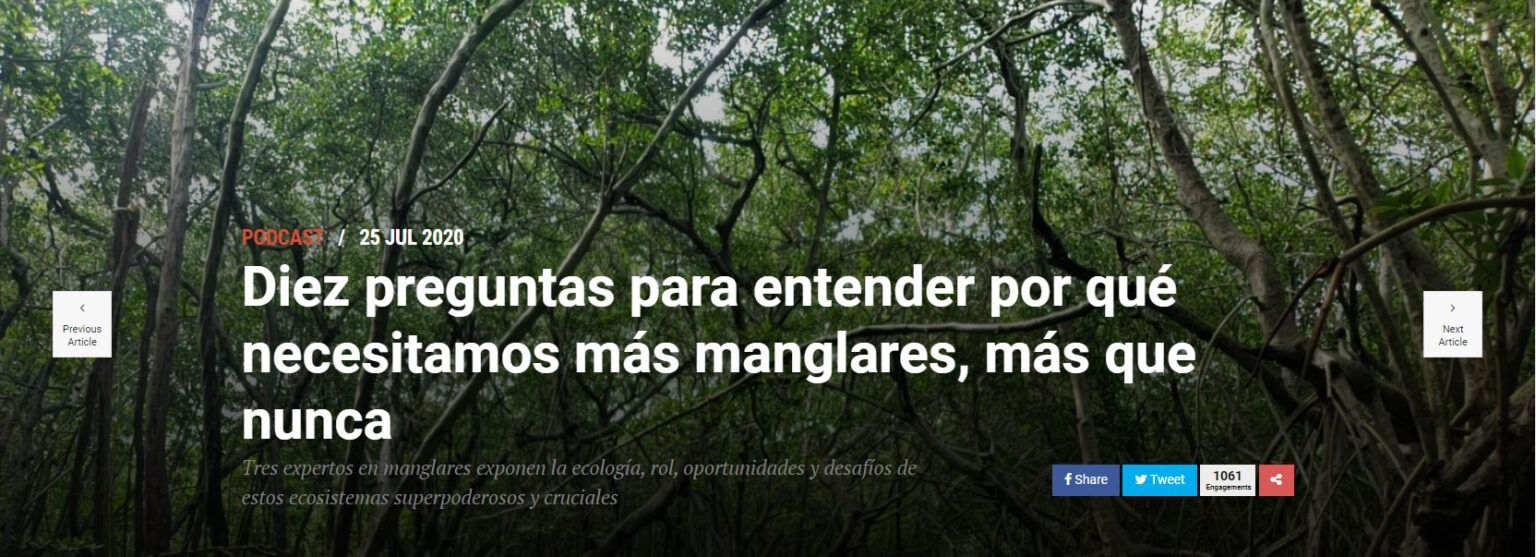 Diez preguntas para entender por qué necesitamos más manglares, más que nunca - Corescam