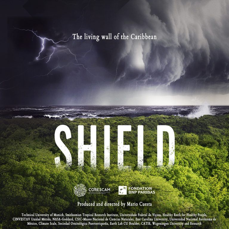 Shield - Corescam